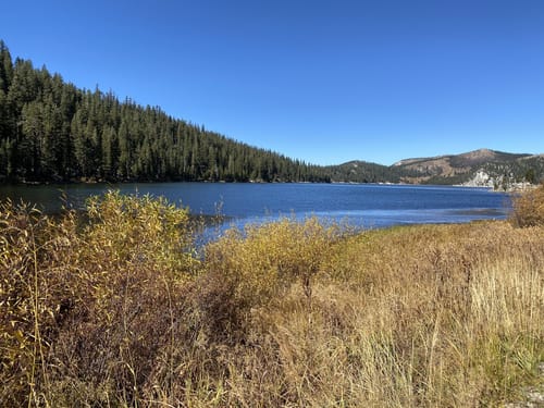 2023 Best 10 Backpacking Trails in Humboldt-Toiyabe National Forest ...