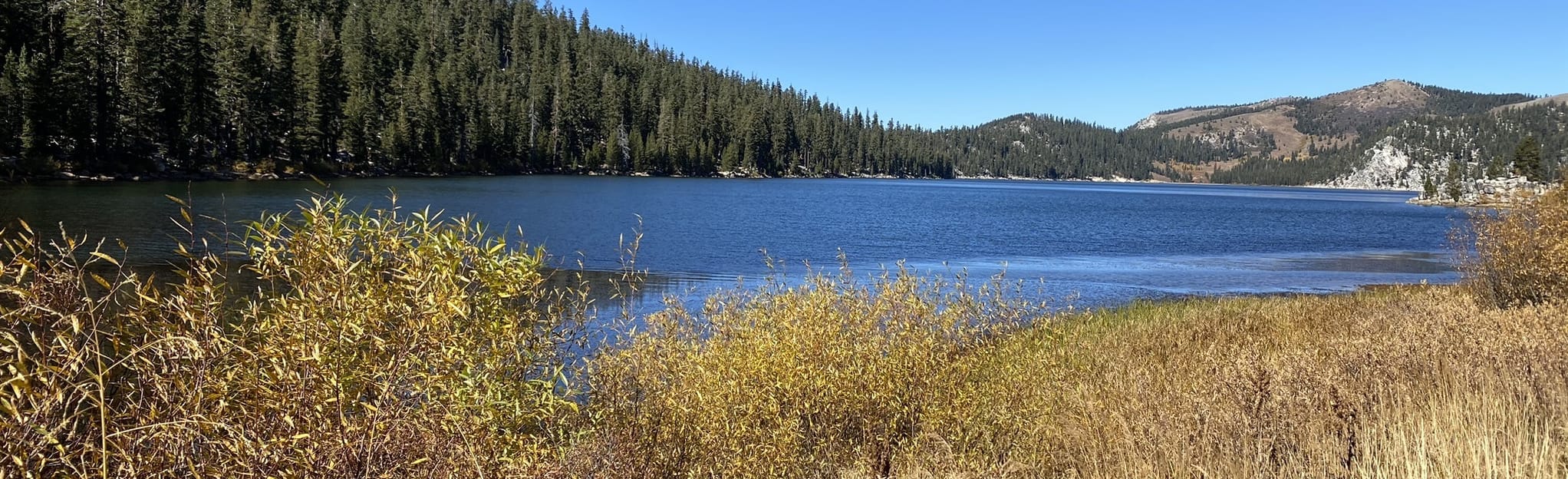 Marlette Lake Loop via Tunnel Creek, Nevada - 36 Reviews, Map | AllTrails