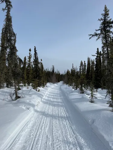 Best Hikes and Trails in Isberg Recreation Area | AllTrails