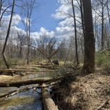 Morgan Run Natural Environmental Area Trails, Maryland - 417 Reviews ...