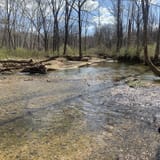 Morgan Run Natural Environmental Area Trails, Maryland - 417 Reviews ...