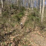 Morgan Run Natural Environmental Area Trails, Maryland - 417 Reviews ...