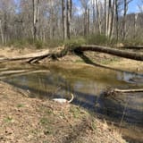 Morgan Run Natural Environmental Area Trails, Maryland - 417 Reviews ...