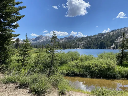 10 Best Hikes and Trails in Emigrant Wilderness | AllTrails
