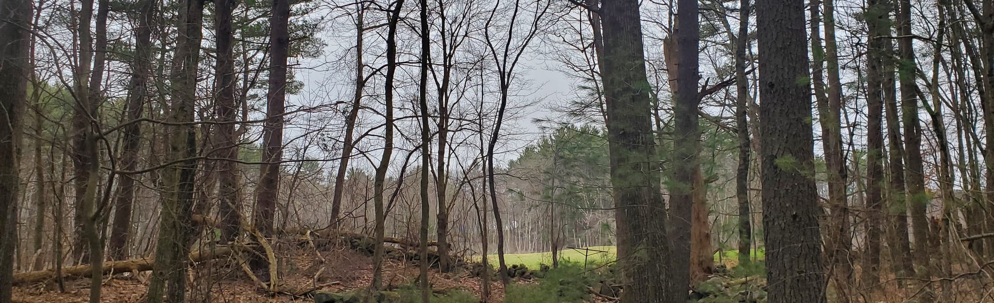 Farnsworth and Old Wildcat Trail Loop, Massachusetts - 32 Reviews, Map ...