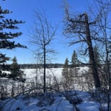 Moon Lake Trail, Manitoba, Canada - 245 Reviews, Map | AllTrails