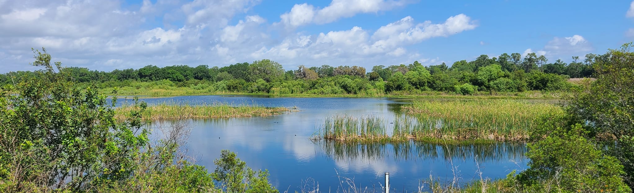 Panther Point Trail, Florida - 186 Reviews, Map | AllTrails