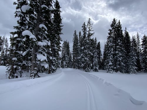 2023 Best 10 Snowshoeing Trails in Grand Mesa National Forest | AllTrails