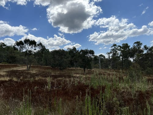 Best 10 Hikes and Trails in Red Hill Nature Reserve | AllTrails