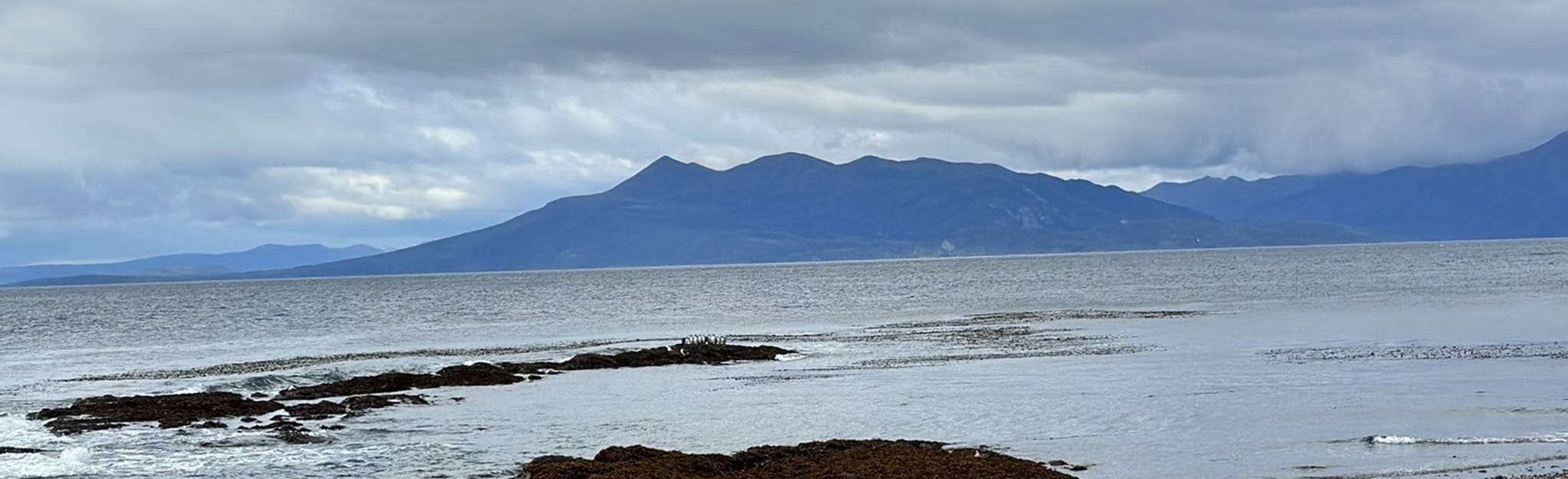 San Isidro Lighthouse, Magallanes, Chile - 33 Reviews, Map | AllTrails