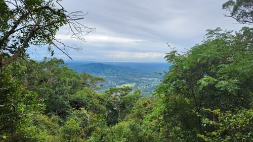 2023 Best 10 Trails and Hikes in Mount Nebo | AllTrails