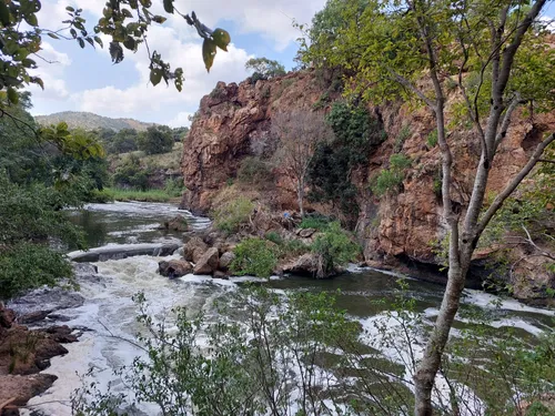 2023 Best Trails, Walks, and Paths in Cheetah Park | AllTrails