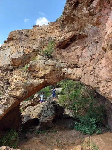 2023 Best Trails, Walks, and Paths in Cheetah Park | AllTrails