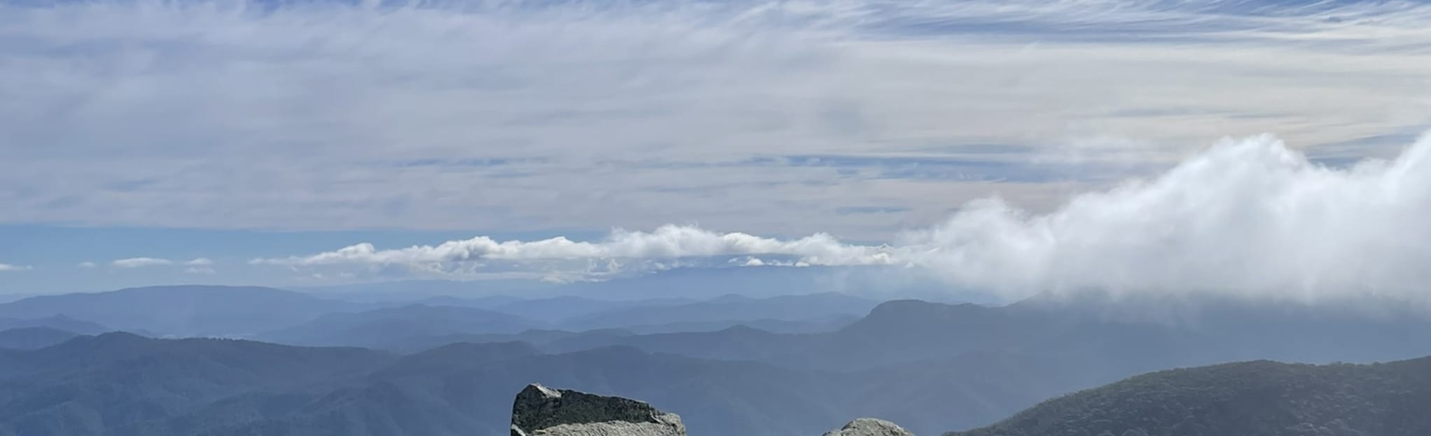 Stonefly Loop and Mount Stirling Summit: 5 Reviews, Map - Victoria, Australia | AllTrails