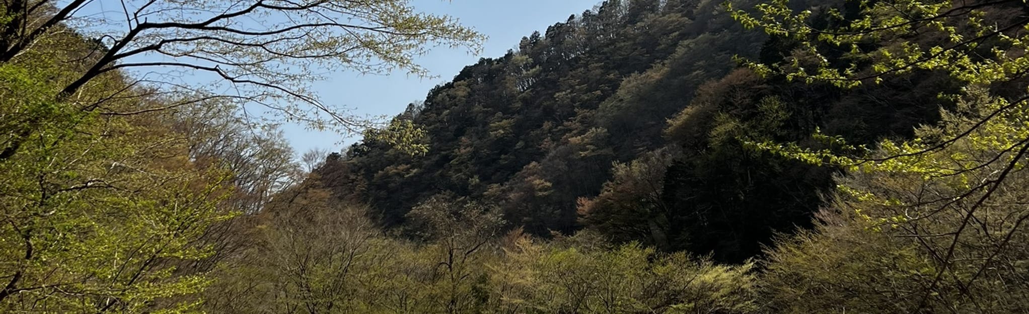 Mount Nabewari - Nishiyama Rindo - Okura: 333 foto's - Kanagawa, Japan ...
