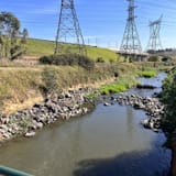 Modderfontein Dam Trail, Gauteng, South Africa - 344 Reviews, Map ...