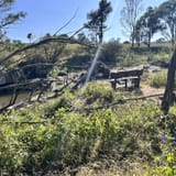 Modderfontein Dam Trail, Gauteng, South Africa - 324 Reviews, Map ...