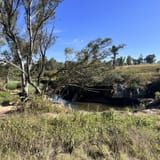 Modderfontein Dam Trail, Gauteng, South Africa - 344 Reviews, Map ...