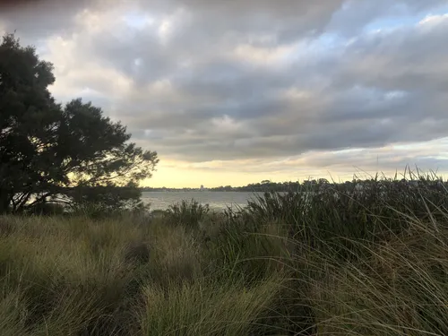 Best Hikes and Trails in Point Walter Reserve | AllTrails