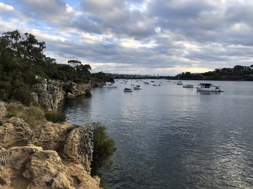 Best Hikes and Trails in Point Walter Reserve | AllTrails