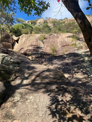 Best Hikes and Trails in Mount Walsh National Park | AllTrails