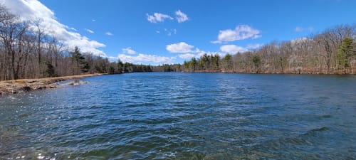 Best Hikes and Trails in Sutton State Forest | AllTrails