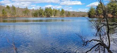 Best Hikes and Trails in Sutton State Forest | AllTrails