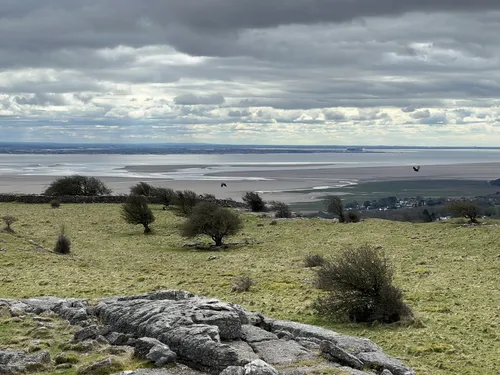 10 Best Walking Trails in Grange-over-Sands | AllTrails