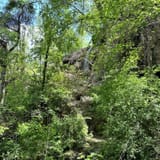 Gorman Falls Trail, Texas - 1,006 Reviews, Map | AllTrails