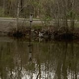 Deep Run Park Trails, Virginia - 1,132 Reviews, Map | AllTrails