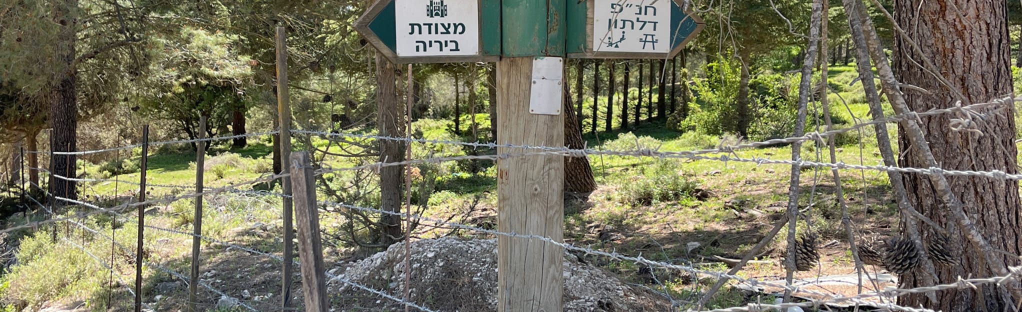 Safed to Mount Dalton via Ein Zeitim Park: 2 Reviews, Map - Northern ...