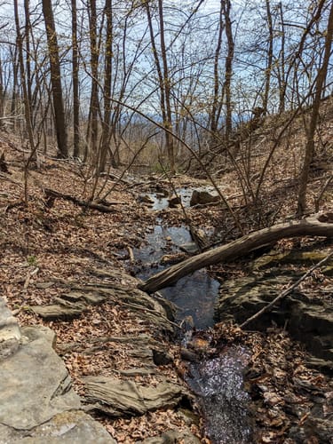 Best Hikes and Trails in Smart View Recreation Area | AllTrails