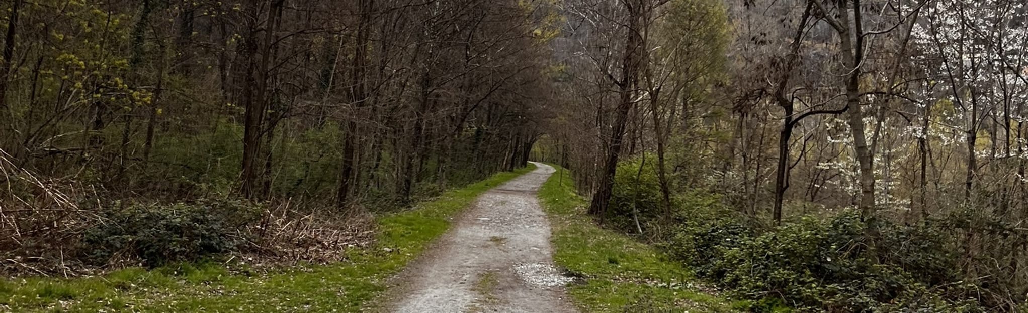 Ponte Brolla - Intragna: 3 Reviews, Map - Ticino, Switzerland | AllTrails