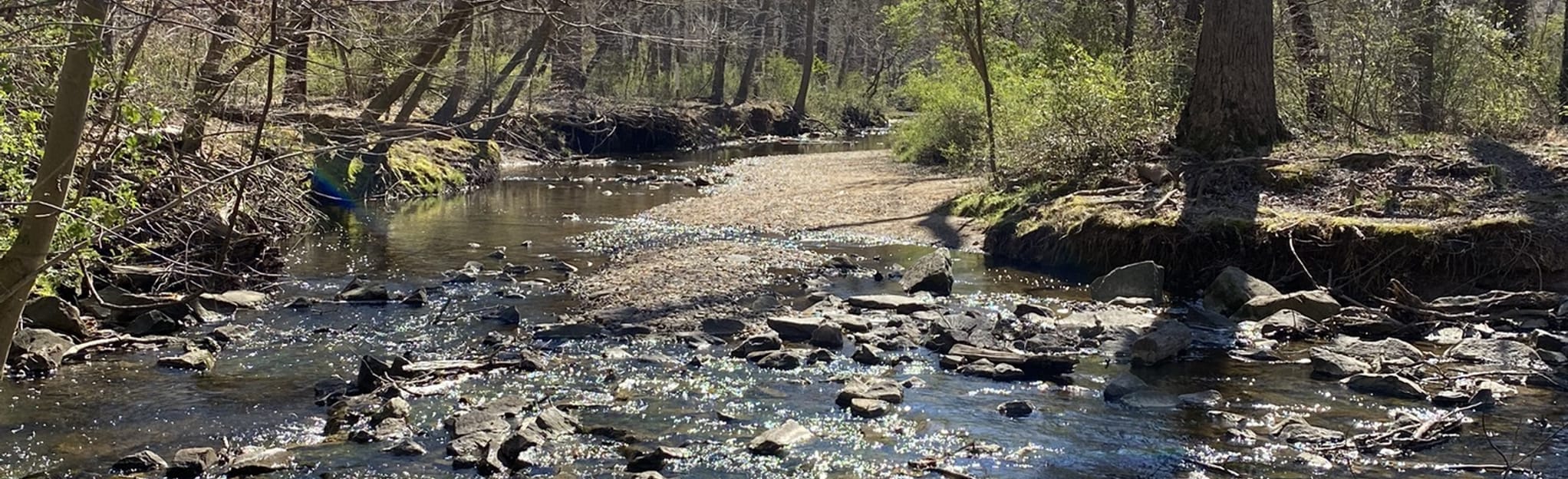 Holmes Run Trail via Sleepy Hollow: 92 Reviews, Map - Virginia | AllTrails