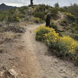 Hawes Trail System Loop, Arizona - 1,002 Reviews, Map | AllTrails