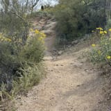 Hawes Trail System Loop, Arizona - 1,035 Reviews, Map | AllTrails