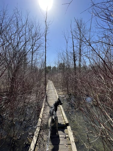 2023 Best trails in Darien Lakes State Park | AllTrails