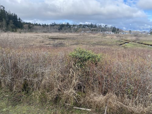 Best Hikes and Trails in Point No Point Lighthouse and Park | AllTrails