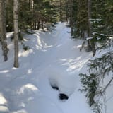 Middle Carter via Imp, North Carter, and Carter-Moriah Trail, New ...