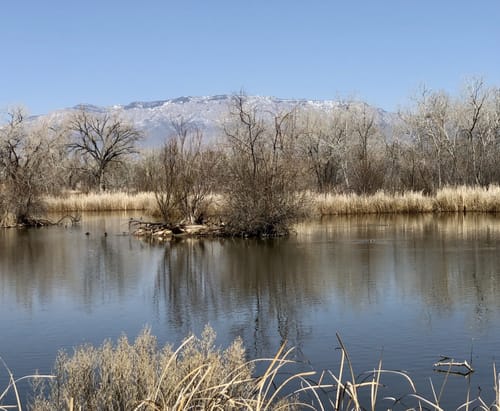 Best Hikes and Trails in Rio Grande Nature Center State Park | AllTrails