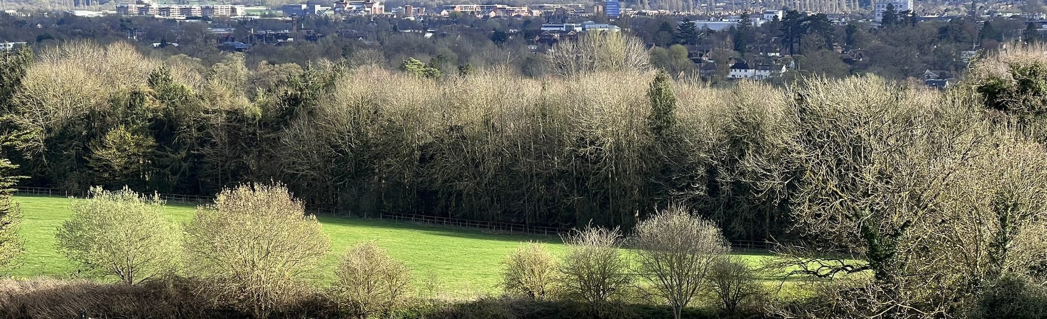 Donnington Castle and Snelsmore Common Circular: 542 Reviews, Map ...