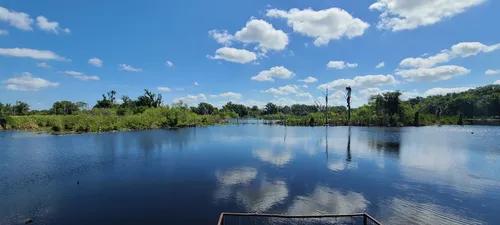 Best Hikes and Trails in Tenoroc Public Use Area | AllTrails