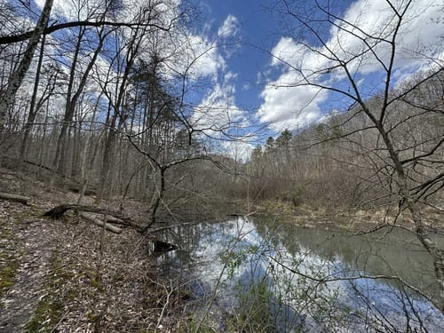 Best Hikes and Trails in Greenbo Lake State Resort Park | AllTrails