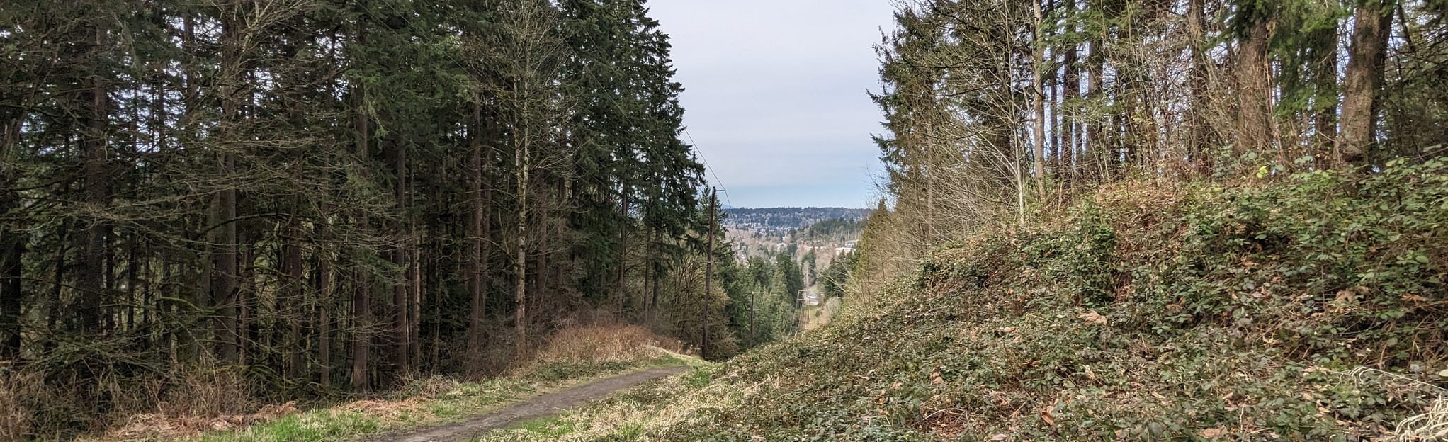 Blyth Park from 105th Avenue NE: 58 Reviews, Map - Washington | AllTrails