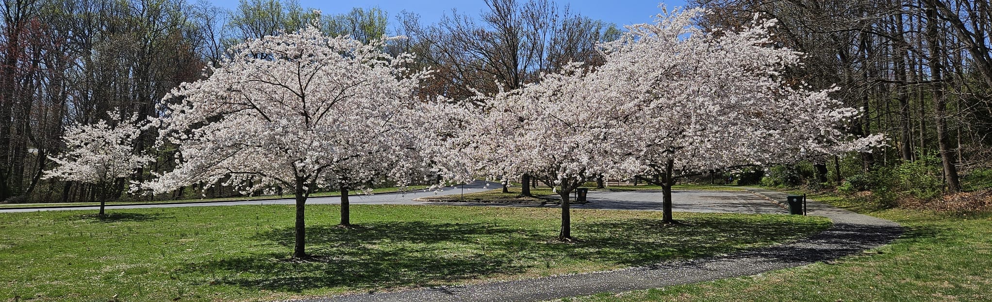 MLK Park Loop: 79 Reviews, Map - Maryland | AllTrails