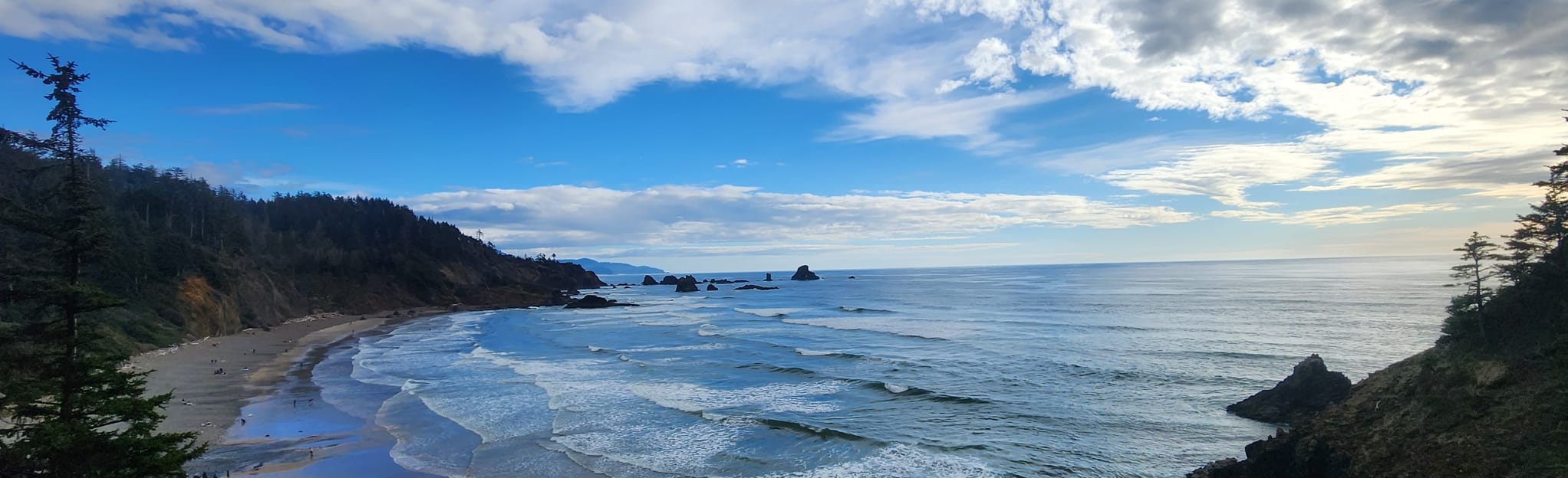 Clatsop Loop Trail from Indian Beach, Oregon - 2,454 Reviews, Map ...