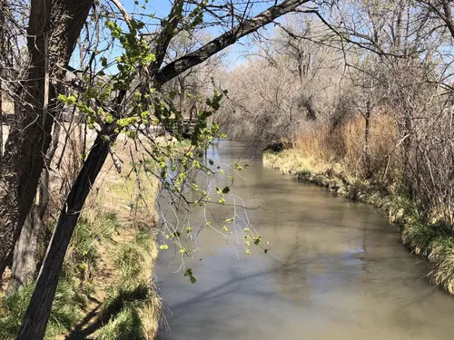 10 Best City Walk Trails in Albuquerque | AllTrails