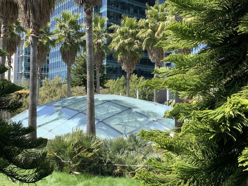 Best Hikes and Trails in Salesforce Park | AllTrails