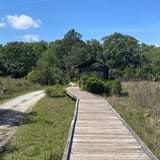 Guana Trail, Marshview Lane, and Shellbluff Road, Florida - 268 Reviews ...