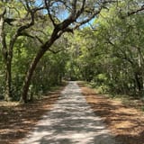 Guana Trail, Marshview Lane, and Shellbluff Road, Florida - 268 Reviews ...